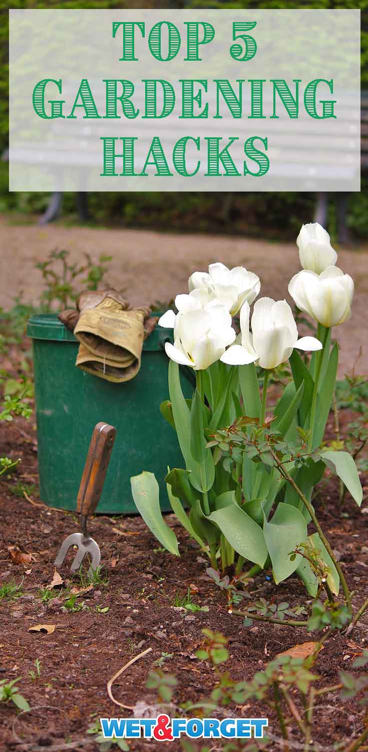 Ask Wet & Forget 5 Super-Easy Garden Hacks--Get the Green Thumb without ...