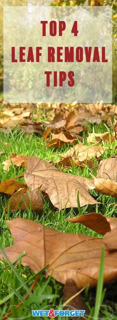 Get our 4 Top Leaf Removal Tips and Make Fall Cleanup a Piece of Cake ...