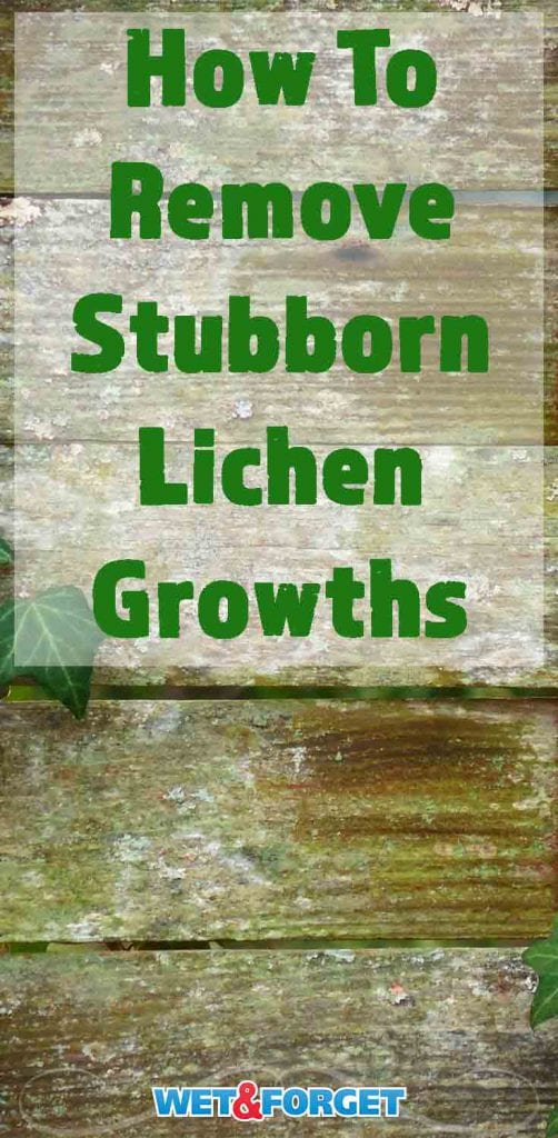 Stuck with Stubborn Lichen? Wipe it out with Wet & Forget Outdoor ...