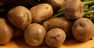 6 Delicious Reasons To Plant Potatoes this Spring | Life's Dirty. Clean ...