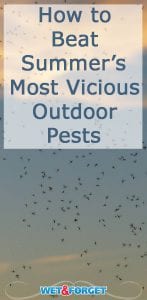 Summer's 4 Most Vicious Outdoor Pests, and Tricks for Beating Them ...