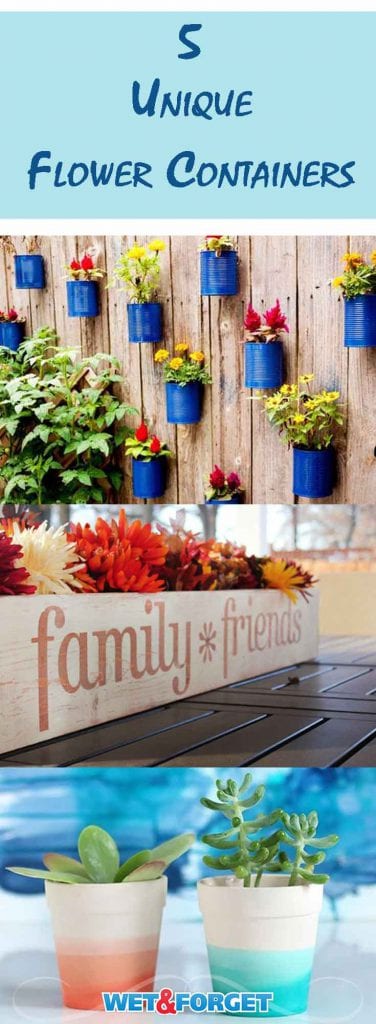 Show your Style with these 5 Uniquely Fun Flower Containers | Life's ...