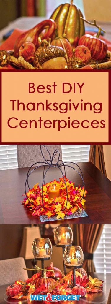 Beautify your Holiday with these Easy Thanksgiving Centerpieces | Life ...
