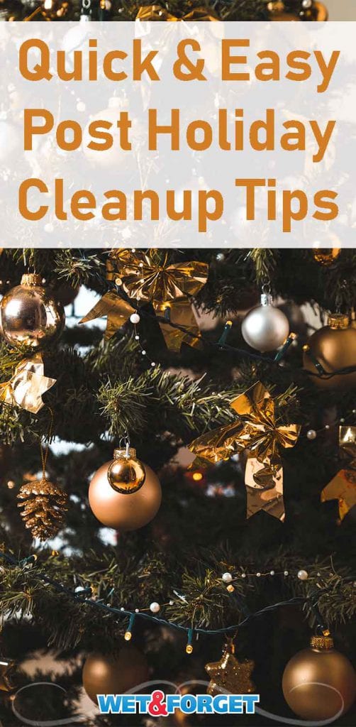 Merry Christmas! Stay Sane with these 6 Post-Holiday Cleanup Tips ...