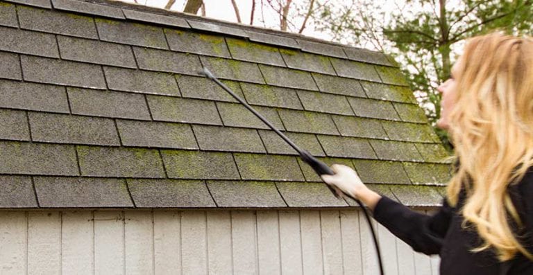 How to Remove Lichen From Roof Tiles and Outdoor Surfaces | Life's ...