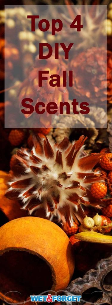 4 DIY Fall Scents for Your Home | Life's Dirty. Clean Easy.