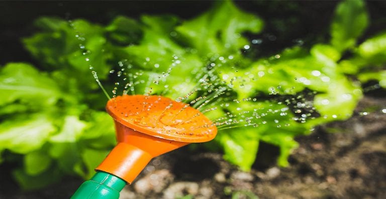 Common Gardening Mistakes | Life's Dirty. Clean Easy.