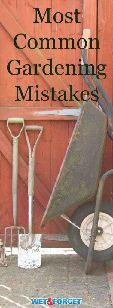 Common Gardening Mistakes | Life's Dirty. Clean Easy.