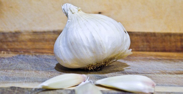 Top 6 Non-Invasive Plants That Thrive in a Small Garden