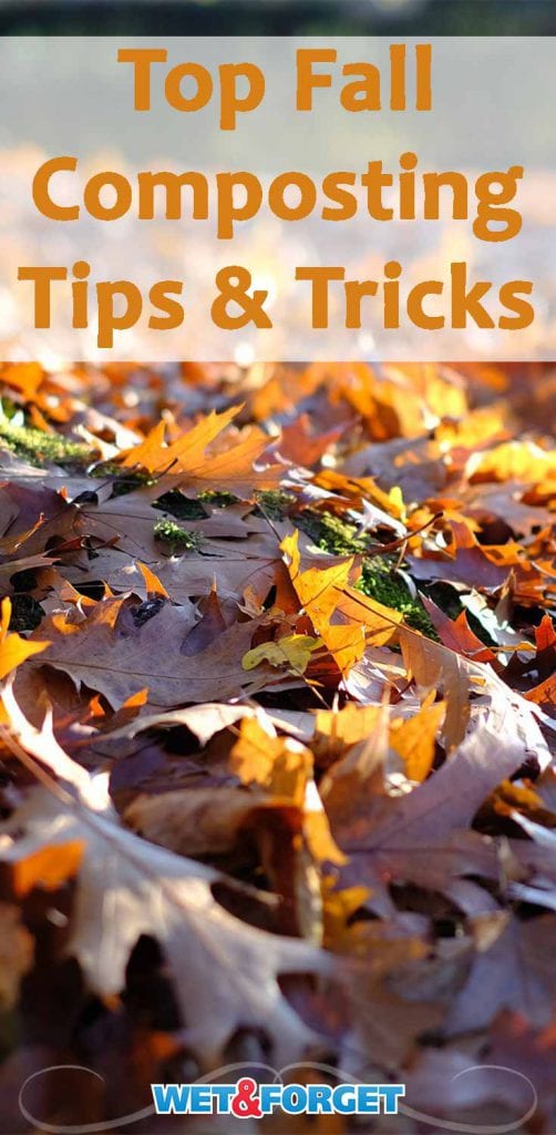 Composting Leaves and Twigs for the Newbie Gardener | Life's Dirty ...