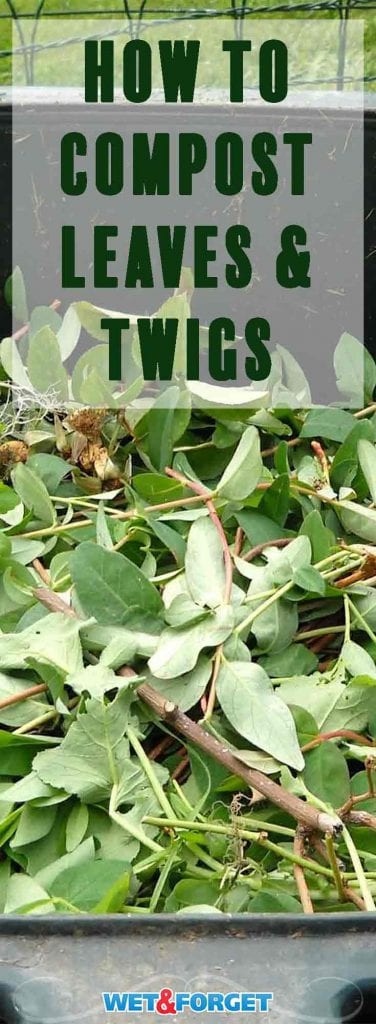 Composting Leaves and Twigs for the Newbie Gardener | Life's Dirty ...