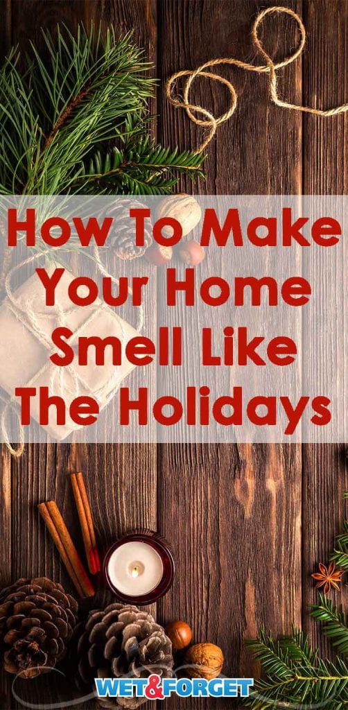 5 Fabulously Fragrant DIY Christmas Scents for the Holidays | Life's ...