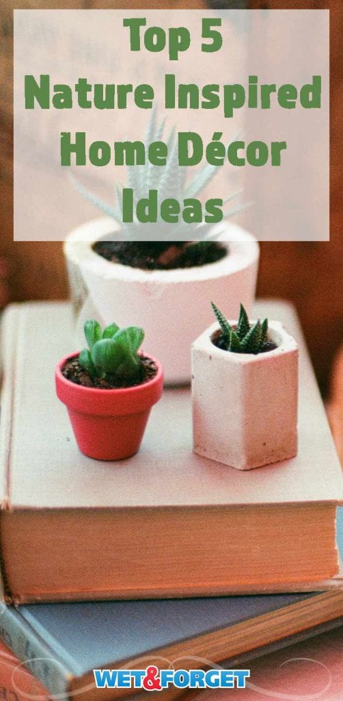 5 Outdoors-Inspired DIY Nature Home Décor Ideas | Life's Dirty. Clean Easy.