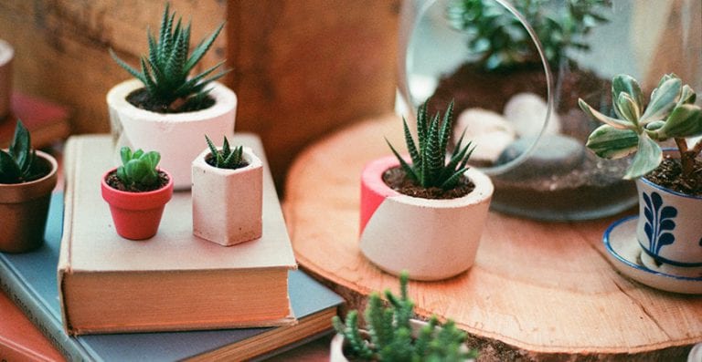 5 Outdoors-Inspired DIY Nature Home Décor Ideas | Life's Dirty. Clean Easy.