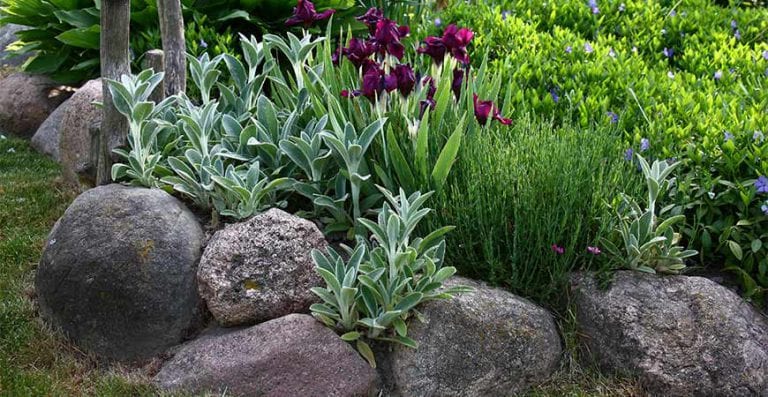 Best Flower Bed Border Ideas for Savvy Home Gardeners | Life's Dirty ...