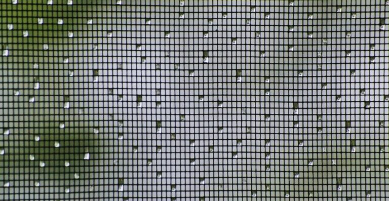 How (and Why) to Clean and Repair Window Screens | Life's Dirty. Clean ...