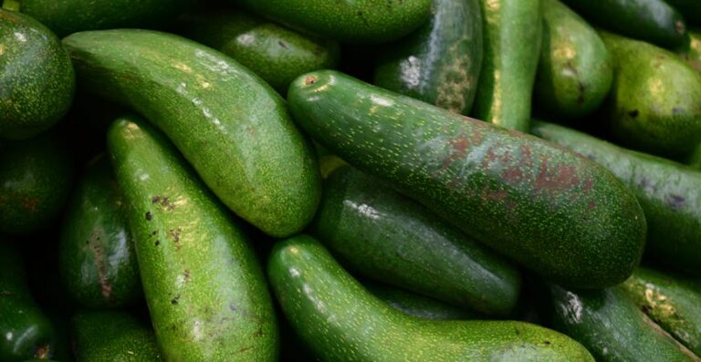 Top Pickle Growing Tips and Tricks | Life's Dirty. Clean Easy.