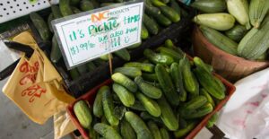 Top Pickle Growing Tips and Tricks | Life's Dirty. Clean Easy.